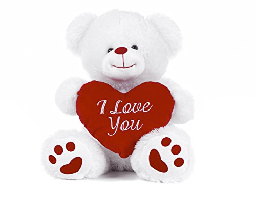 Paws White Teddy Bear holding Red Heart with I Love You written on it www.BeautyHeist
